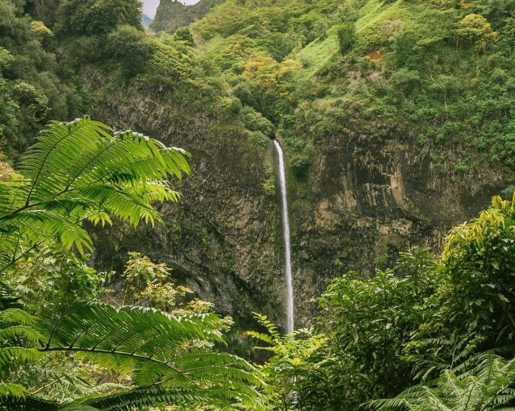Merveilles Naturelles : Les Cascades Incontournables de Tahiti - ANOE ...