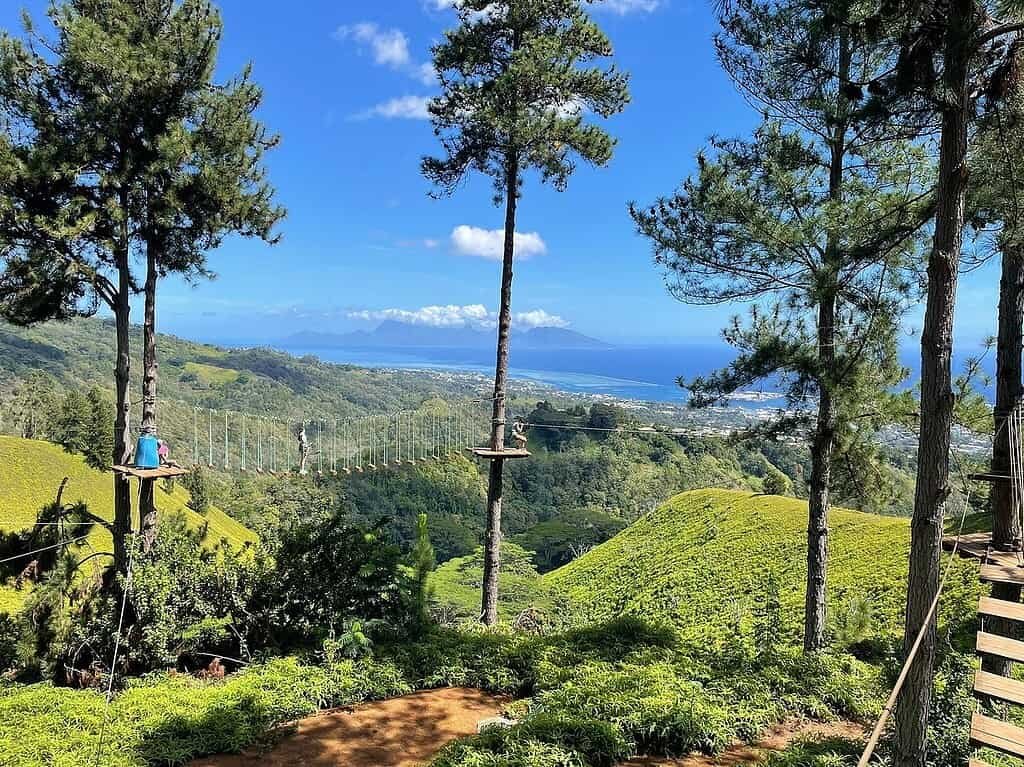 Treetop Adventures in Tahiti and Moorea: Nature in a Fun Version - ANOE ...